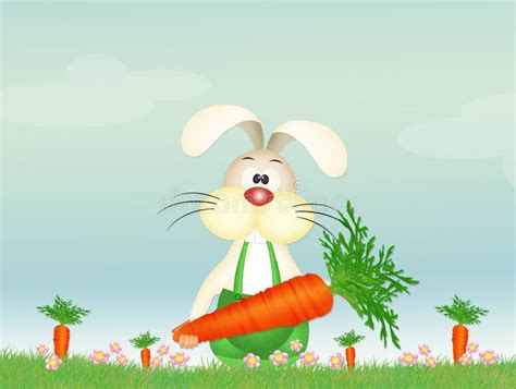 Bunny Carrot Field Stock Illustrations Bunny Carrot Field Stock Illustrations Vectors