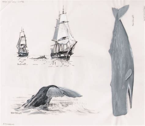 Moby Dick Sketch At Explore Collection Of Moby Moby Dick Sketch At Explore Collection Of Moby
