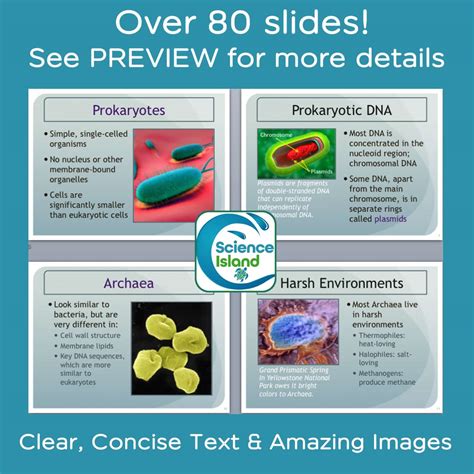 Prokaryotes And Viruses PowerPoint Notes And Videos Science Island