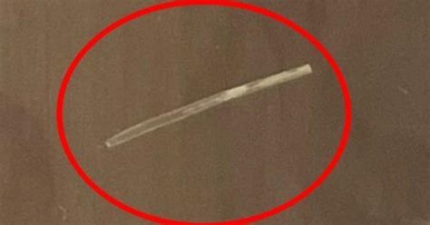 돼지털 판명 떡갈비 이물질 2년째 갈등구매자 블랙컨슈머 낙인찍어