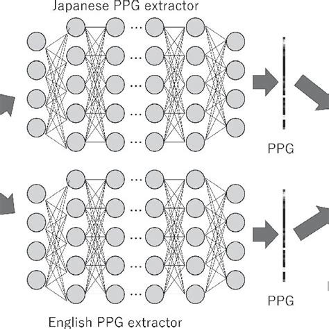 Concatenation Based Multilingual Ppg Extraction Ppgconc Download Scientific Diagram