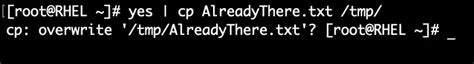 How To Force Cp In Linux OpenTechTips