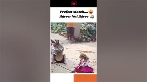 Trending Memes Web Developers Funny Htmlmemes Memes Comedy Memes Youtube