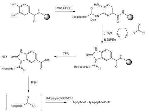Fmoc Resin Cleavage And Deprotection