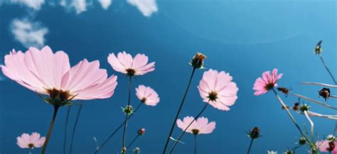 Threads Waiting By Lady Colleen Heller And Vast™