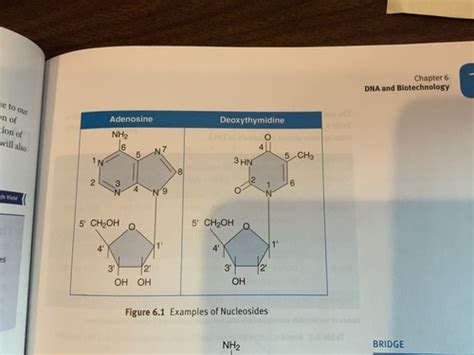 Mcat Kaplan Biochemistry Ch 6 Flashcards Quizlet