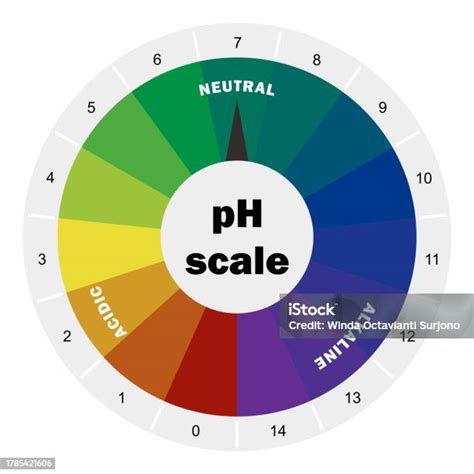 Ph Value Scale Chart Stok Vektör Sanatı And Alkalin‘nin Daha Fazla Görseli Alkalin Asit Bilgi