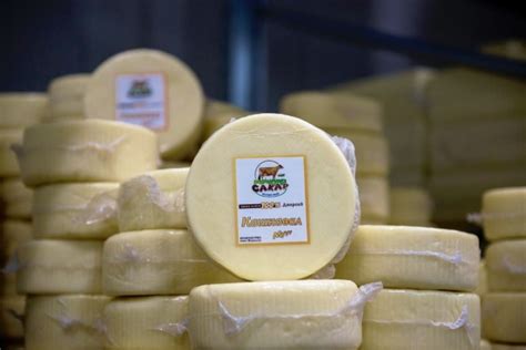 Сакар Екстра Милк Кравеферма Млекомат в Свиленград Мандра Ферма за крави с Момково Цех