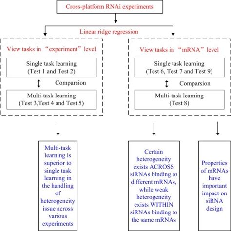 Computational Framework In Our Study Download Scientific Diagram