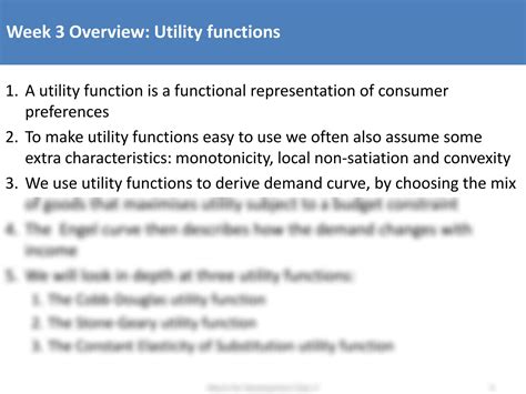 Solution Overview On Utility Function Cobb Douglas Stone Geary And