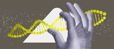 Are Genetic Methylation Tests Worth The Money