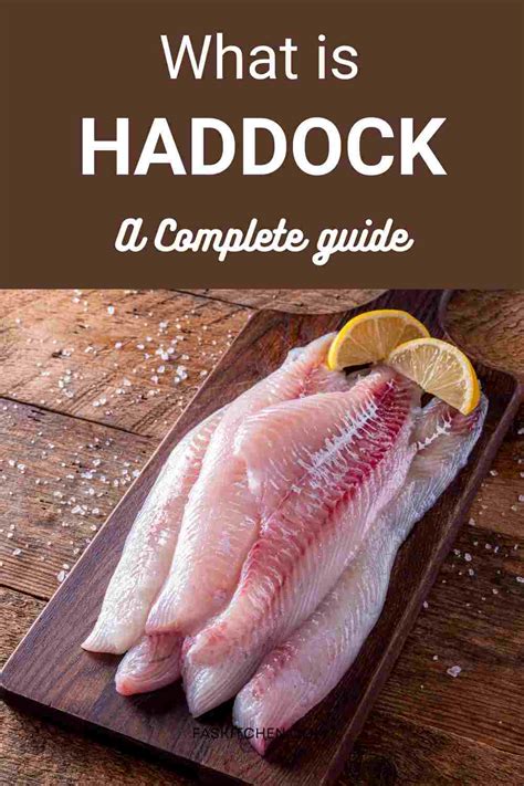 haddock 101 nutrition benefits how to use buy store haddock a
