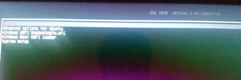 Installing Ubuntu Along With Windows 8 In Uefi Enabled System Beyond