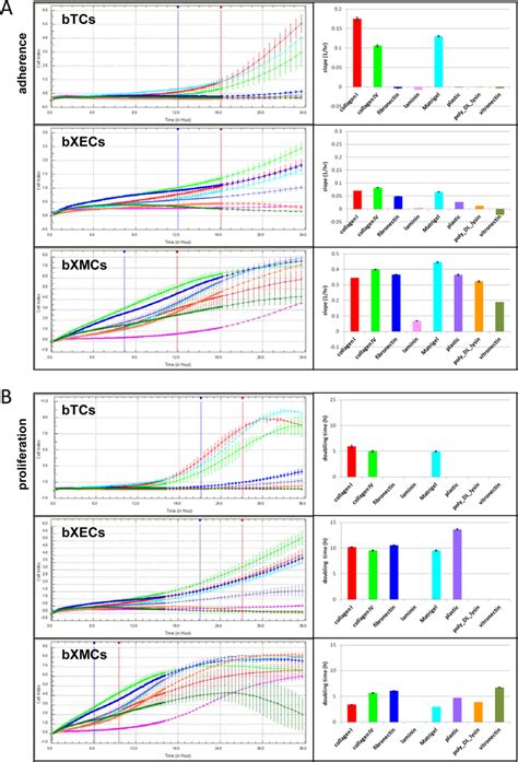 Dynamic Monitoring For Cell Adhesion And Proliferation The Adhesion Download Scientific