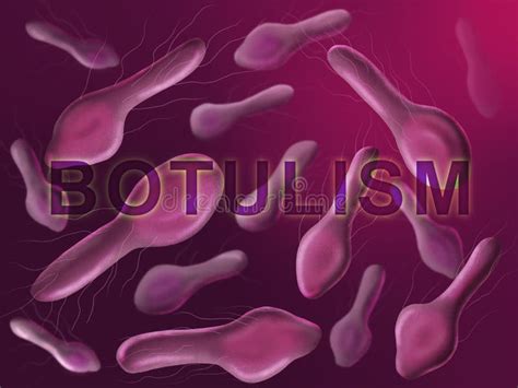 Causative Agent Of Foodborne Toxicosis Of Botulism Stock Illustration