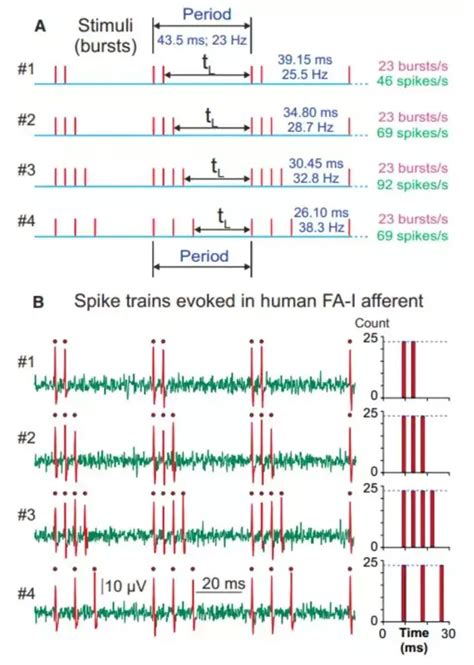 「深度解密」不同振动频率带给人们的……刺激 知乎