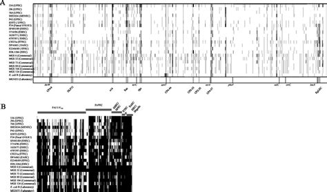 Detection Of Genomic Alterations Among Pathogenic Commensal And Download Scientific Diagram
