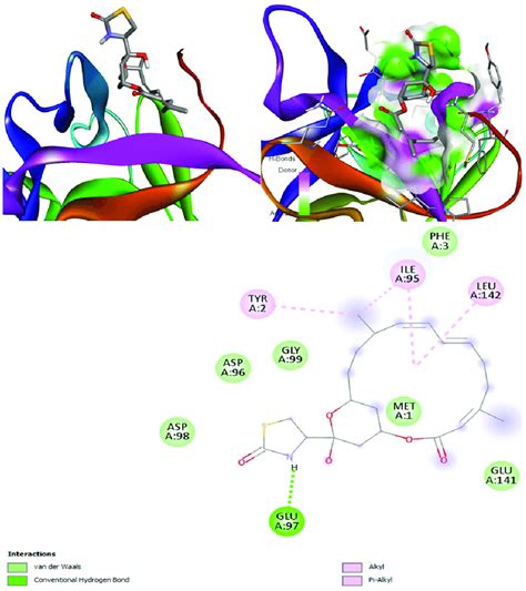 Mucoricin Latrunculin A Docked Complex And Interaction Map Download