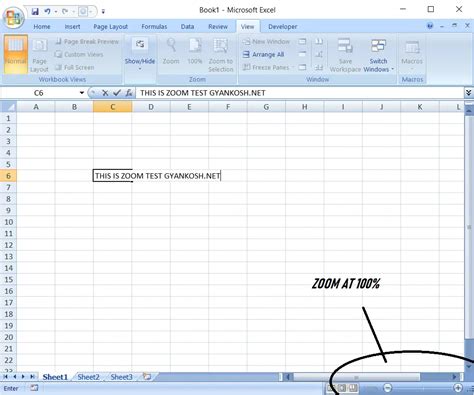 How To Enlarge Text In Excel Using Zoom Functionality With Example