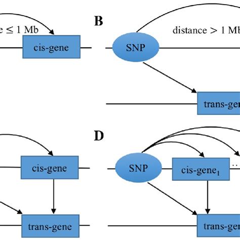 Empirical Type I Error Of The TME CME And SME Tests Based On Download Scientific
