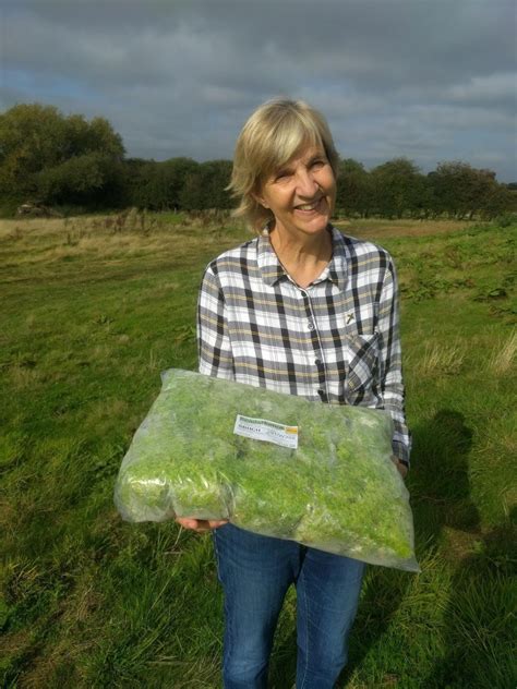 Jacqueline Wright Posted On Linkedin