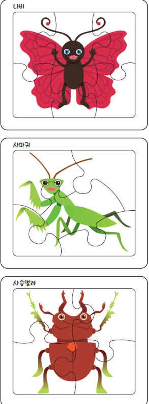 곤충퍼즐4 5 6조각 퍼즐 3장 편집부 교보문고