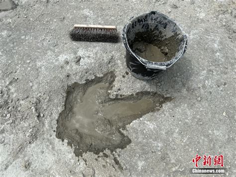 ဗြိတိန်နိုင်ငံ၌ ယခုအထိ ၎င်းနိုင်ငံ၏အတိုင်းအတာအကြီးဆုံးသော ဒိုင်နိုဆောခ