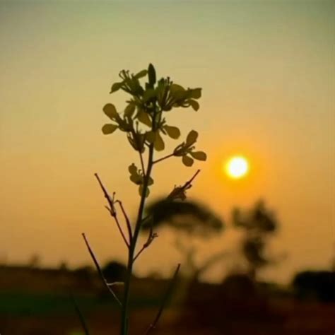 David Ryan Smith 2 0 Youtube