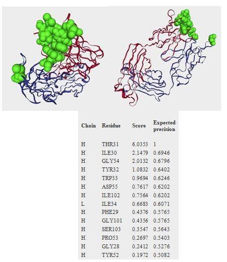 Bipspi Interactive Visualization Of Predicted Residues In The Antibody