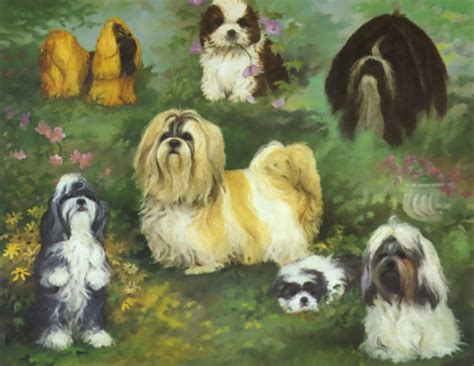 Elizabeth Halstead Original Illustrated Breeds