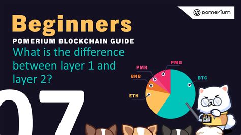 What Is The Difference Between Layer 1 And Layer 2 By Pomerium