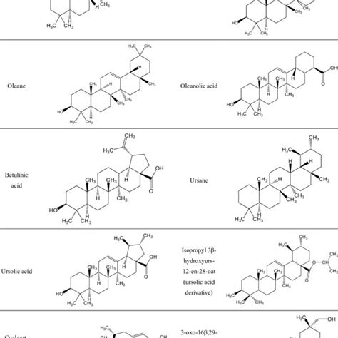 Examples Of Triterpenes Presenting Cytotoxic Activity Download Table