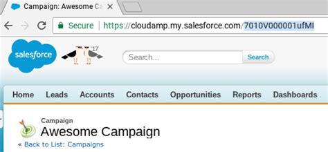 How To Automatically Assign Salesforce Leads To Campaigns Cloudamp News