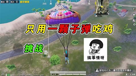 和平精英：只用一颗子弹吃鸡，除了awm也就它能做到！ 高清1080p在线观看平台 腾讯视频