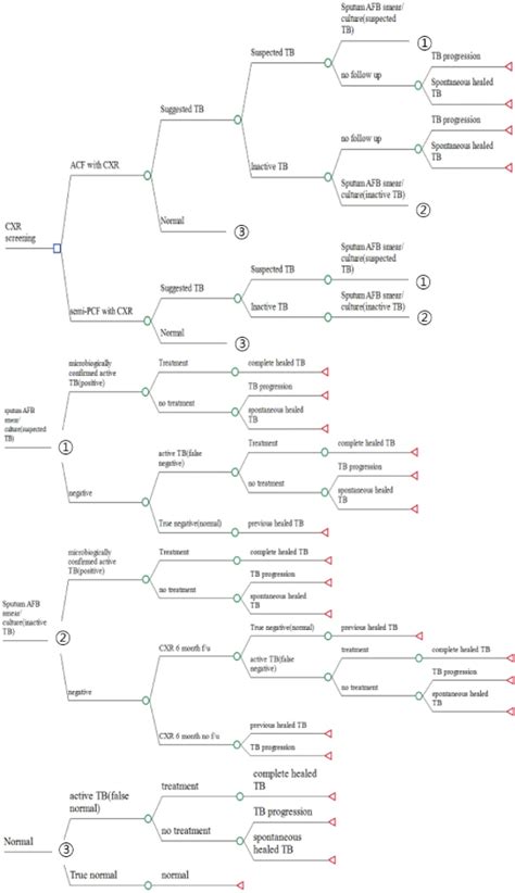 Figure 1 From Comparison Of Active Tuberculosis Case Finding Strategies For Immigrants In South