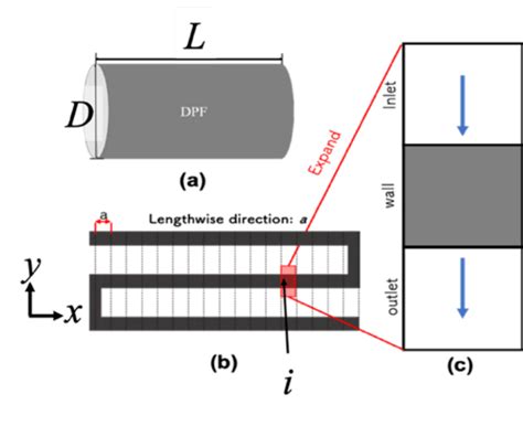 Illustration Of Our Dpf Model For Calculation A Illustration Of Dpf Download Scientific