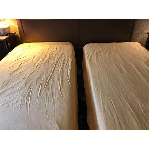 Costco Sleep Science Split King Bed Adjustable Frame Aptdeco