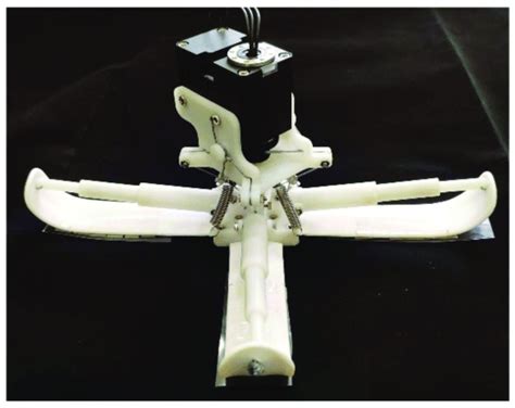 Gecko Inspired Foot Download Scientific Diagram