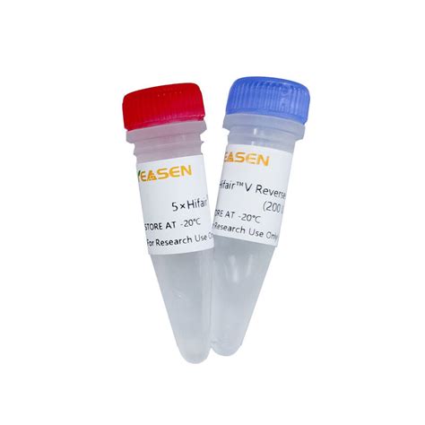 Reverse Transcriptase