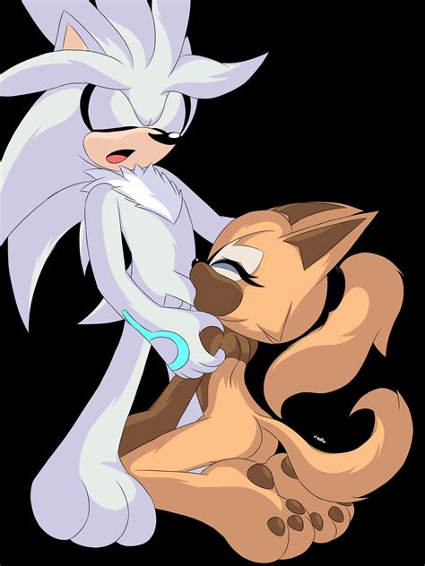 rule 34 furry j nsfw male female silver the hedgehog sonic series