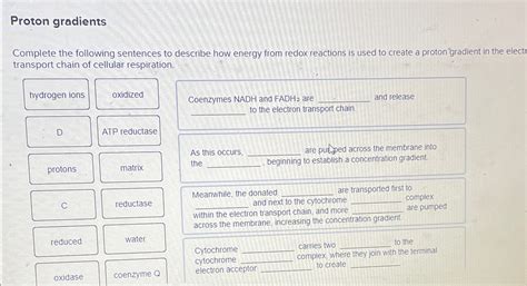 Solved Proton Gradientscomplete The Following Sentences To
