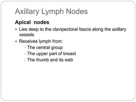 Axillary Lymph Nodespptx
