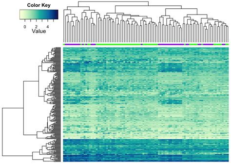 Chapter Heatmaps Et Al Base R Visualization In R Workshop