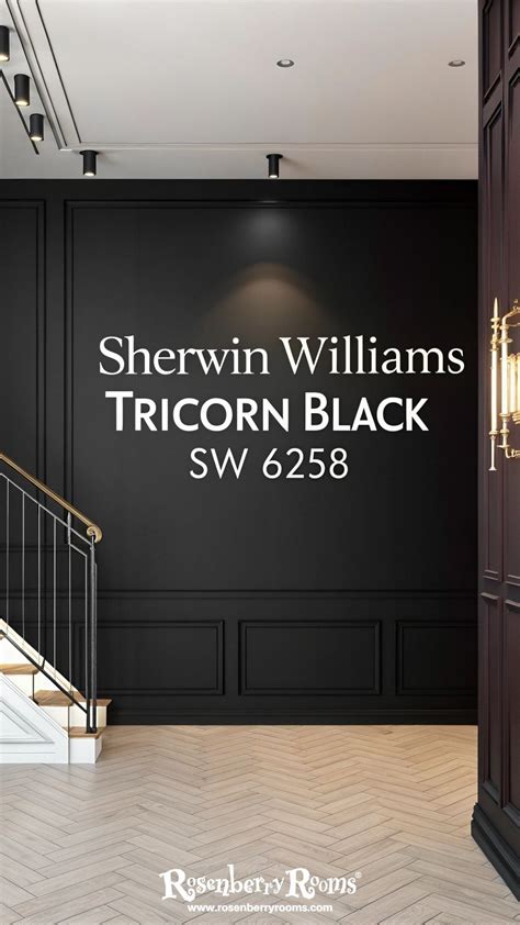 Best 13 Sherwin Williams Tricorn Black Complete Color Review Artofit