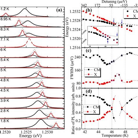 Observations Of The Coexisting Strong Weak Coupling Regimes Probed By