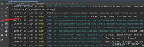 Intellij Debug模式提示 Method Breakpoints May Dramatically Slow Down