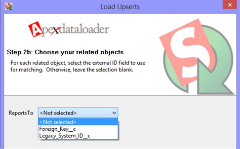 Ways To Show The Apex Data Loader That You Are The Boss Of It Mst Solutions