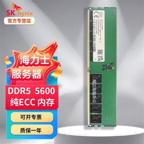Sk Hynix海力士ddr5服务器五代ecc Rdimm Reg工作站内存条 服务器ddr5 纯ecc 5600 16gb 1条【图片 价格 品牌 报价】 京东