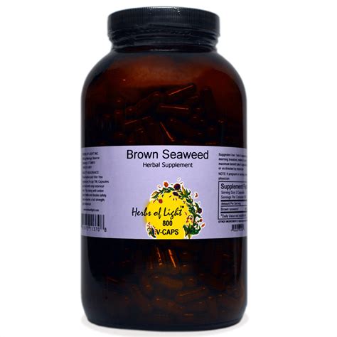 Brown Seaweed Extract Weight Loss