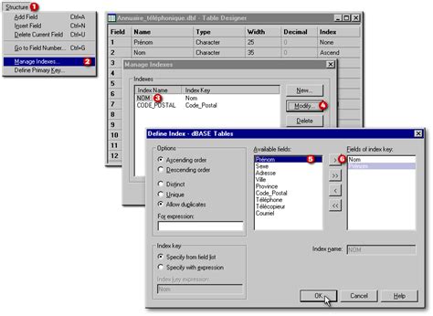 The DBASE Interface